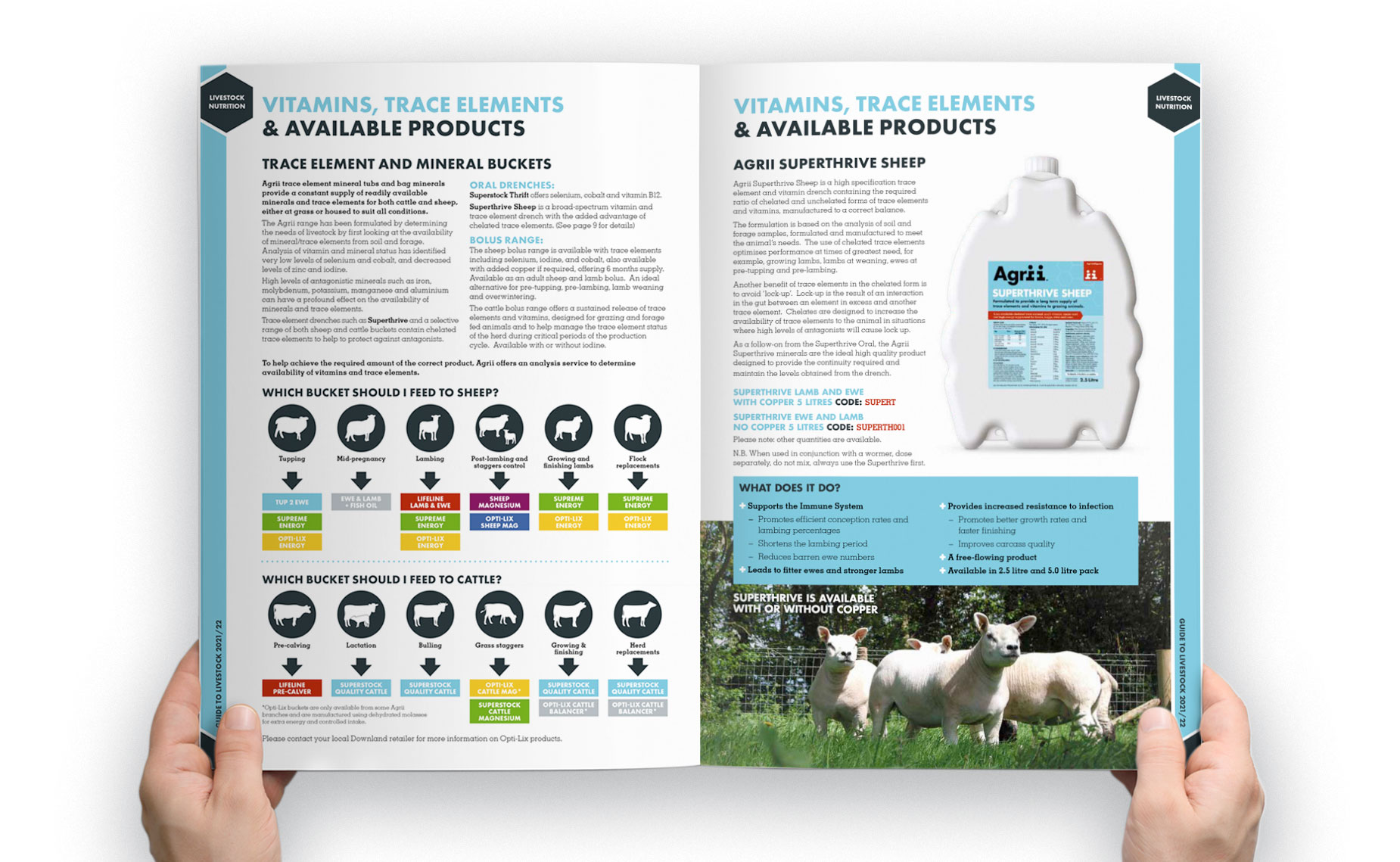 Brochure Design for Agriculture | The Finishing Post | Livestock Brochure